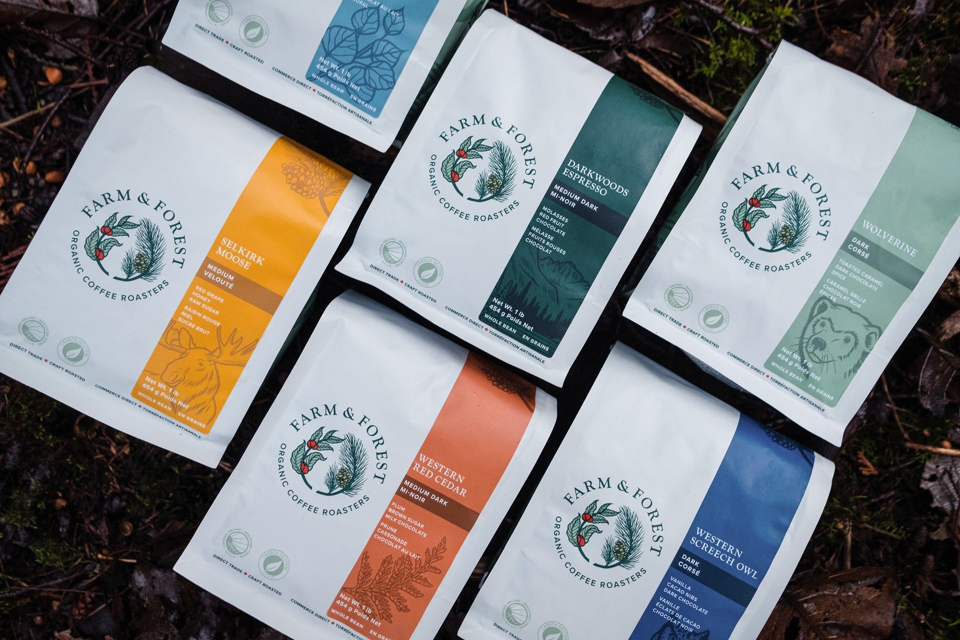 The Varieties of Coffee Plants | All You Need to Know About Coffee Typ ...