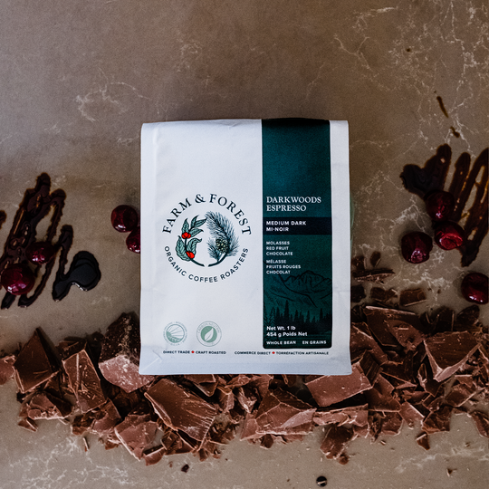 The Anatomy of a Coffee Cherry, A Guide to the Different Types of ...