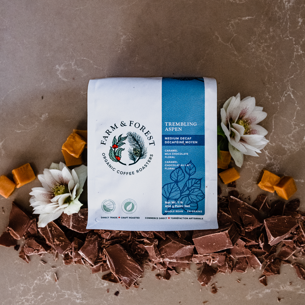Direct Trade vs. Fair Trade Coffee: What's the Difference and Why It ...